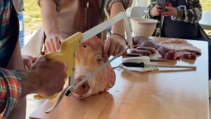 How to Butcher a Pig - Hidden Heights Farm